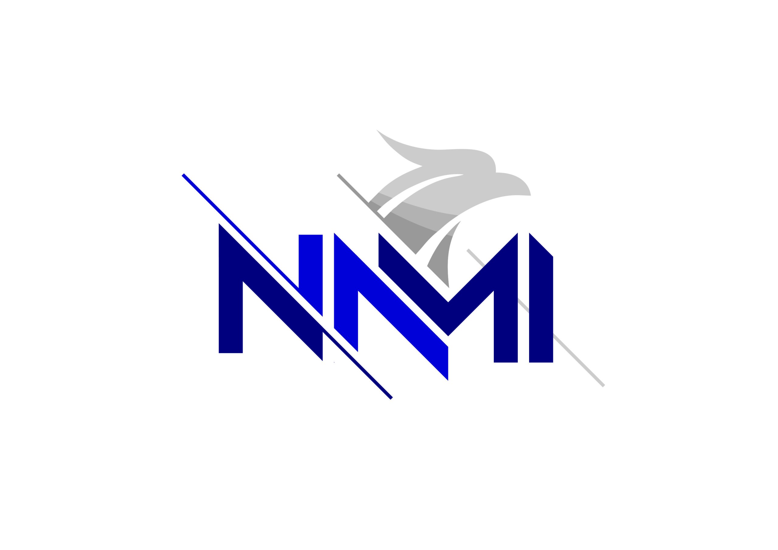 Rasam polymer nami-Main page - رسام پلیمر نامی